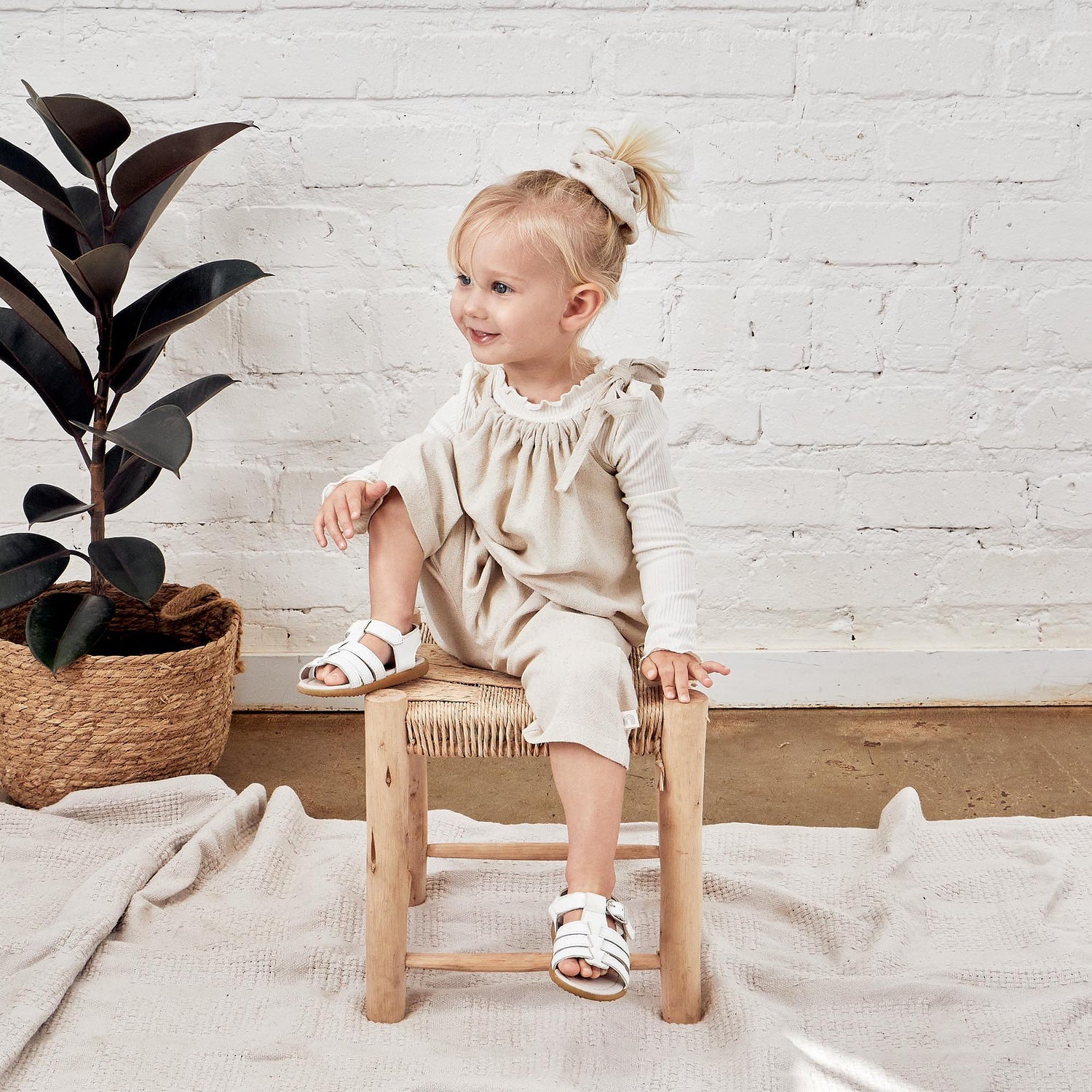 Collections – Abby River